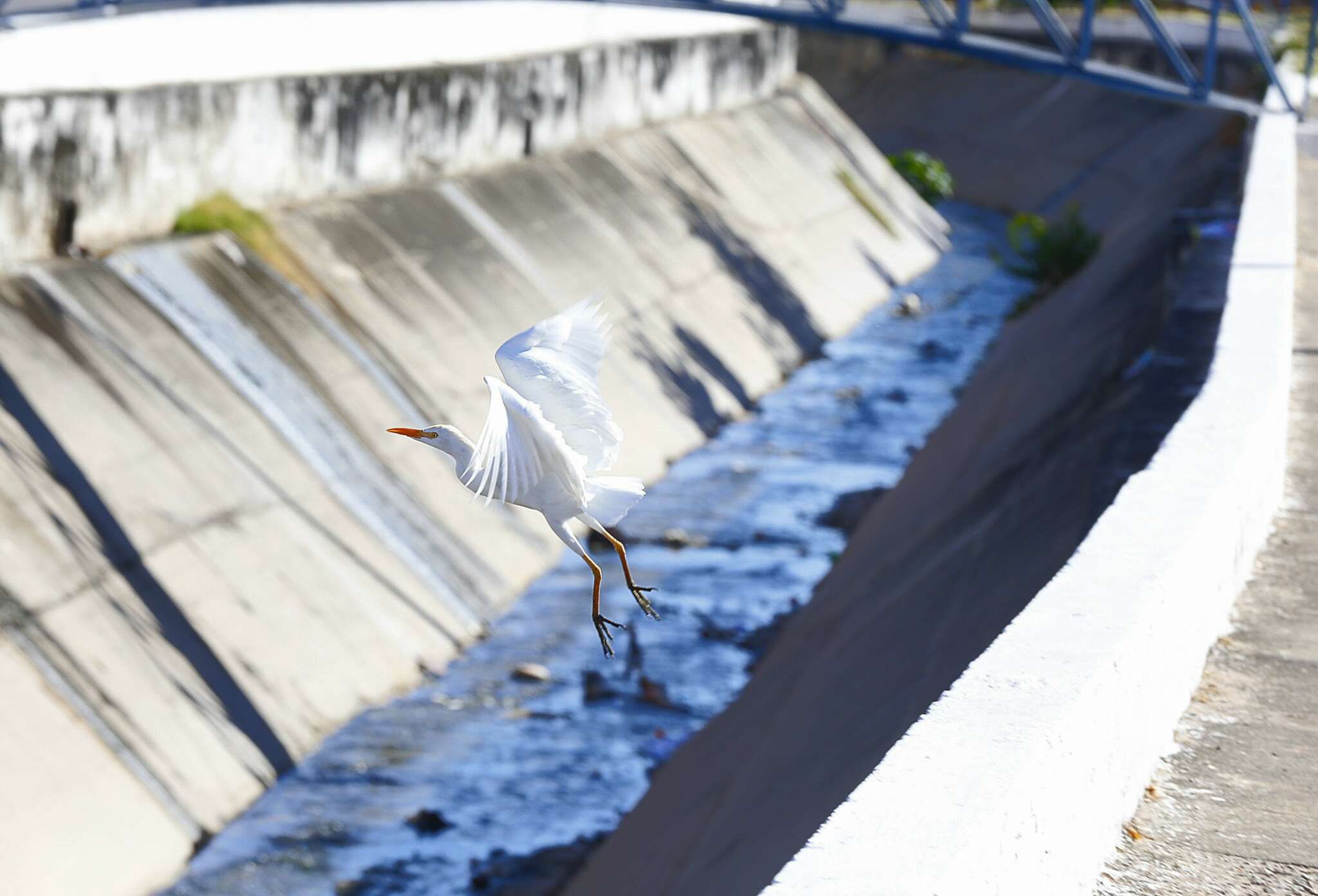 Governo do Ceará investirá R$ 104 milhões na urbanização do canal do ...